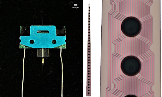 Precision Research Tools for Neuroscience | SpikeGadgets